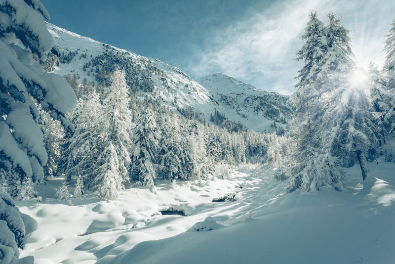 Alpine winter landscape stock photo. Image of bernina - 164994778