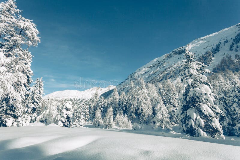 Alpine winter landscape stock photo. Image of bernina - 164994778
