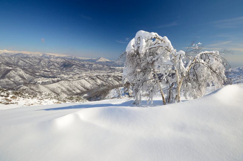 Winter alpine scene stock photo. Image of nature, panoramic - 29470612