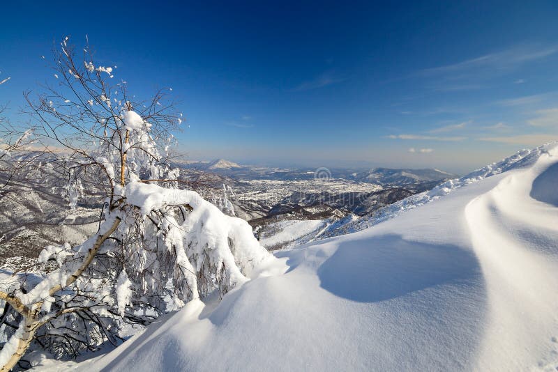Winter alpine scene stock image. Image of freedom, birch - 29507819