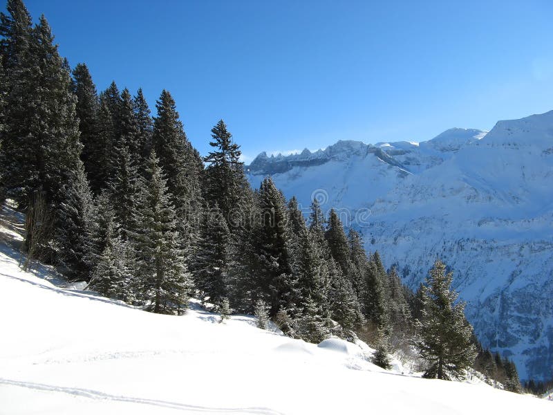 Winter in the alps stock image. Image of nature, frost - 10896315
