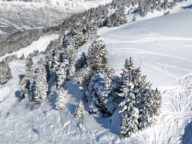 Winter in the alps stock photo. Image of pretty, flumserberg - 12454286