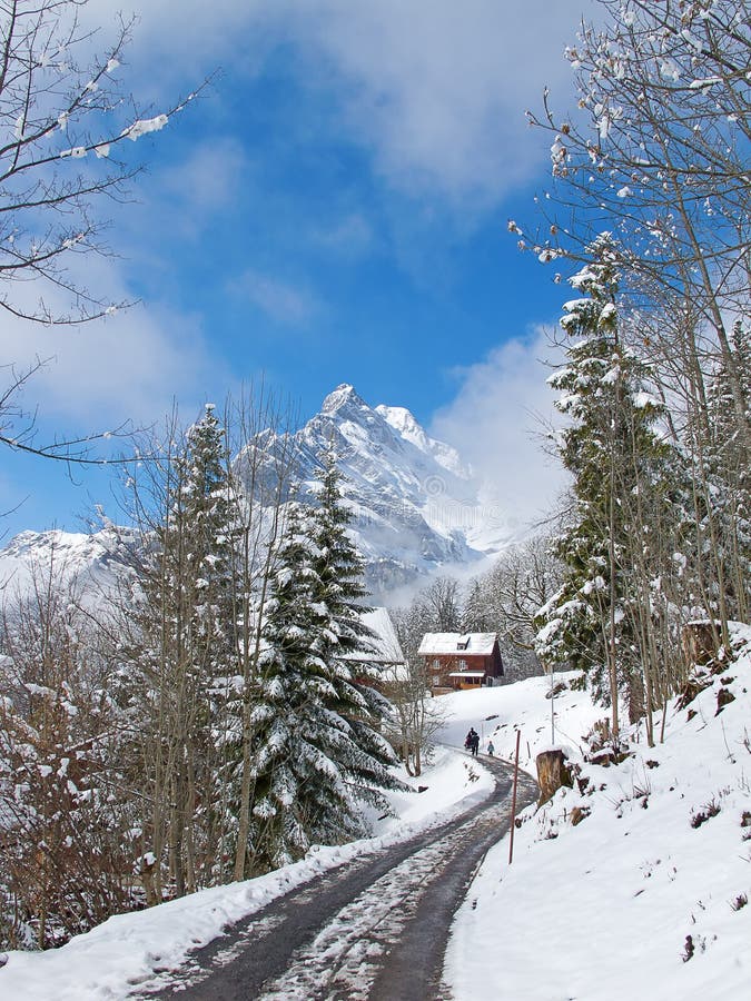 Winter in alps stock image. Image of alpine, clean, life - 21503737