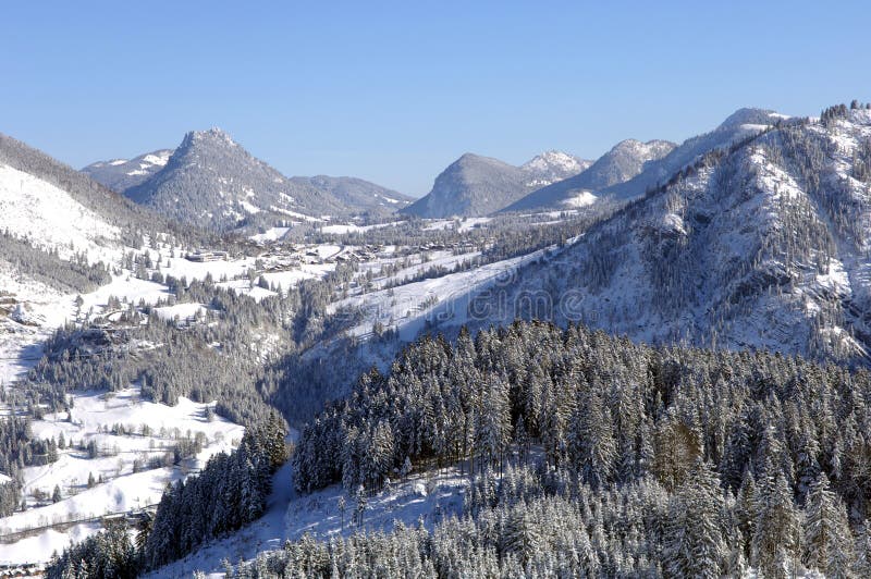 Winter in the Alps stock image. Image of tree, oberjoch - 7650891