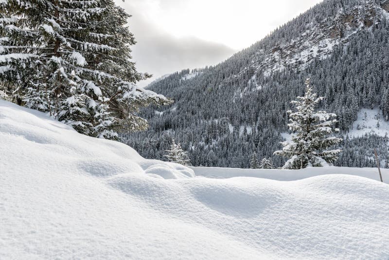 Winter in the Alps stock photo. Image of alps, nature - 57161258