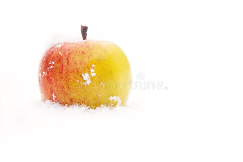 Winter Apple Orchard Michigan Snowfall Stock Image - Image of sunshine ...