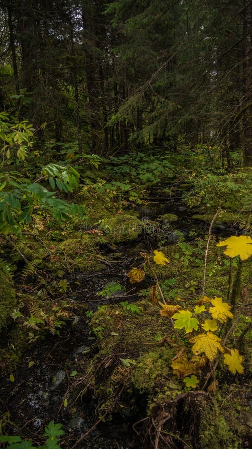 Winter Approaches the State of Alaska USA Stock Photo - Image of ...