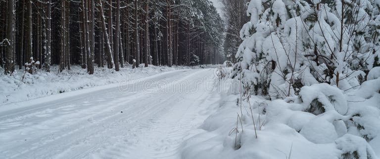 Winter attack stock image. Image of blizzard, frost - 300627599