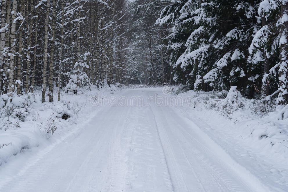 Winter attack stock photo. Image of snow, snowstorm - 300630226
