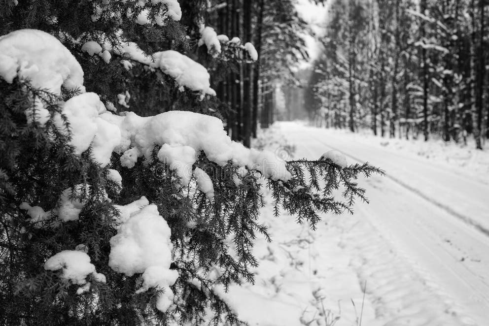 Winter attack stock image. Image of snowfall, chill - 300832253