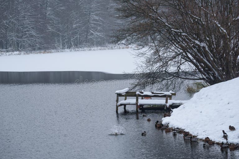 Winter attack stock photo. Image of breakdown, cataclysm - 302650500