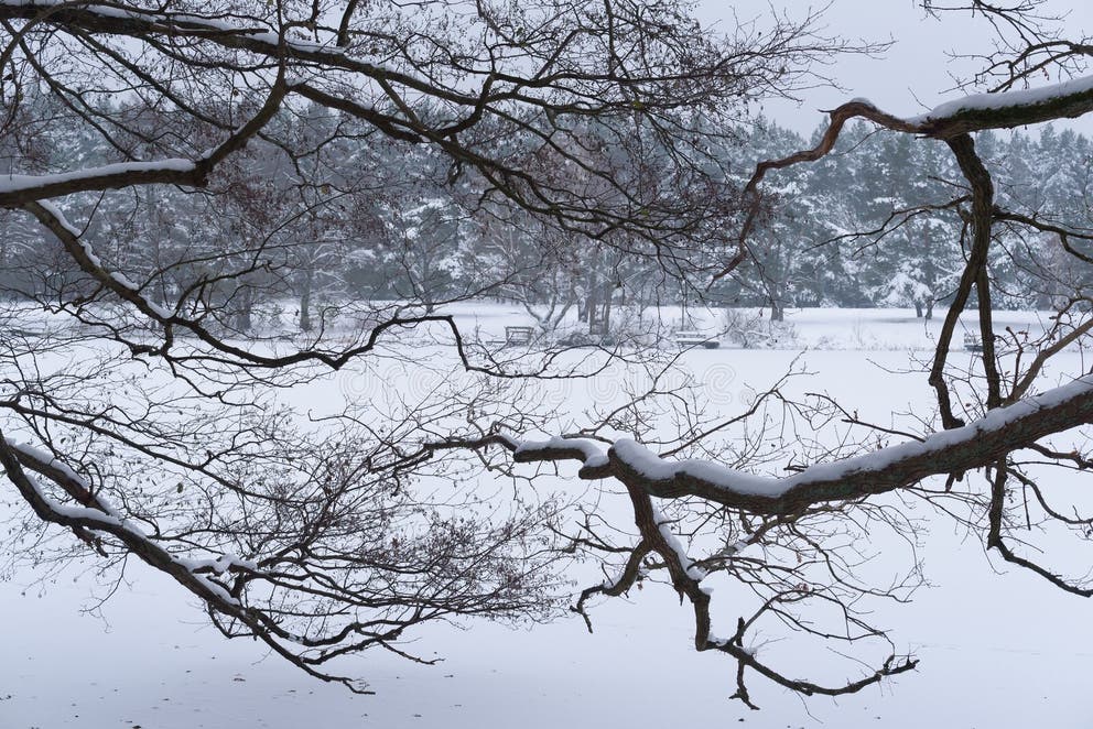 Winter attack stock image. Image of meteorology, freshness - 302651653