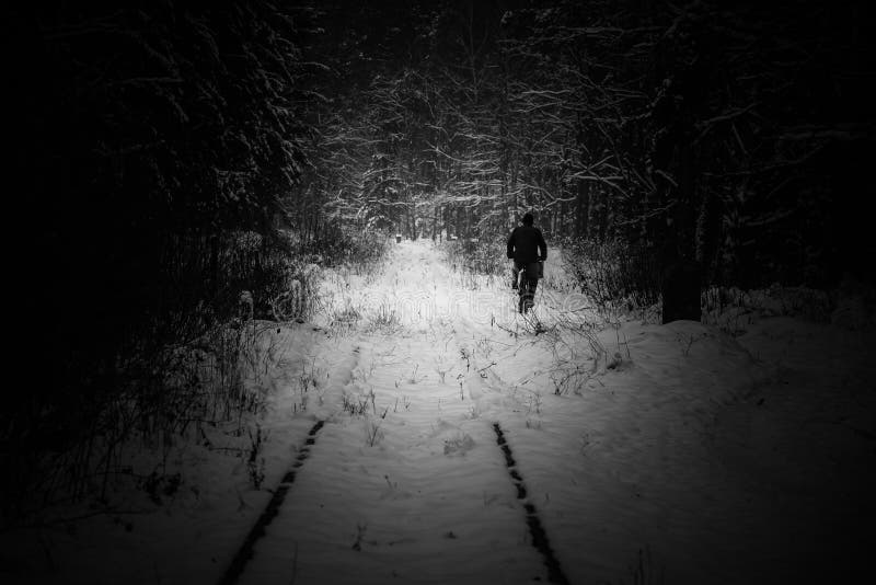 WINTER ATTACK stock image. Image of forest, road, cataclysm - 302436595