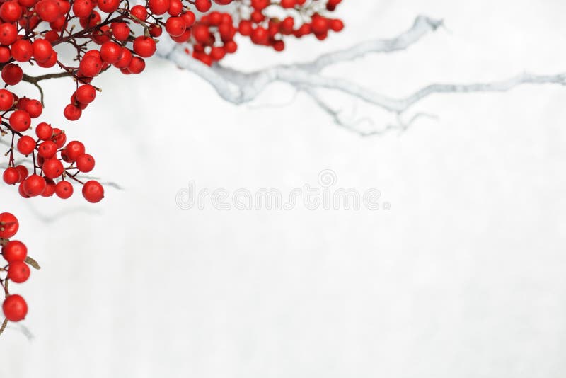 Winter background stock photo. Image of horizontal, decoration - 47203826