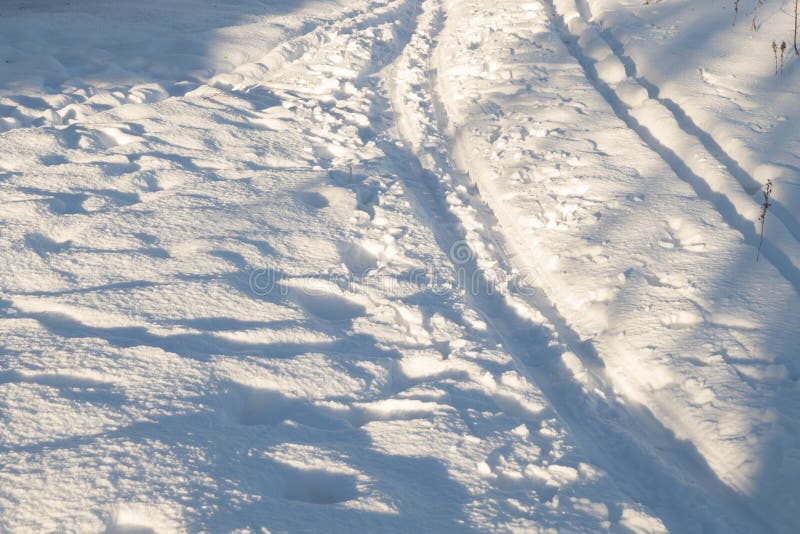 Winter Background of Fresh White Snow Stock Photo - Image of natural ...