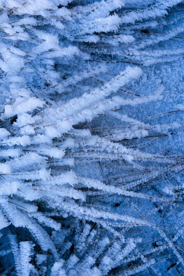 Winter Background with Natural White Frost and Ice Stock Image - Image ...