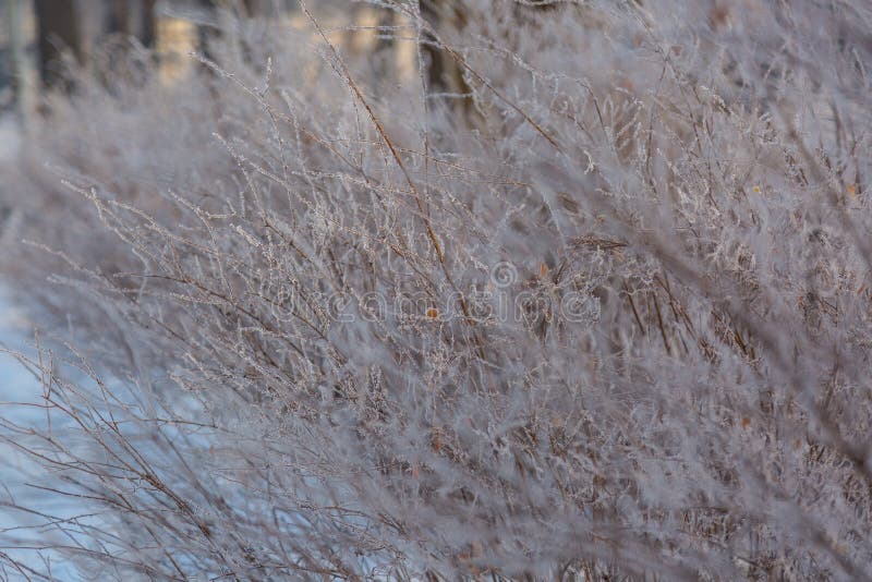 Winter Background with Natural White Frost and Ice Stock Photo - Image ...