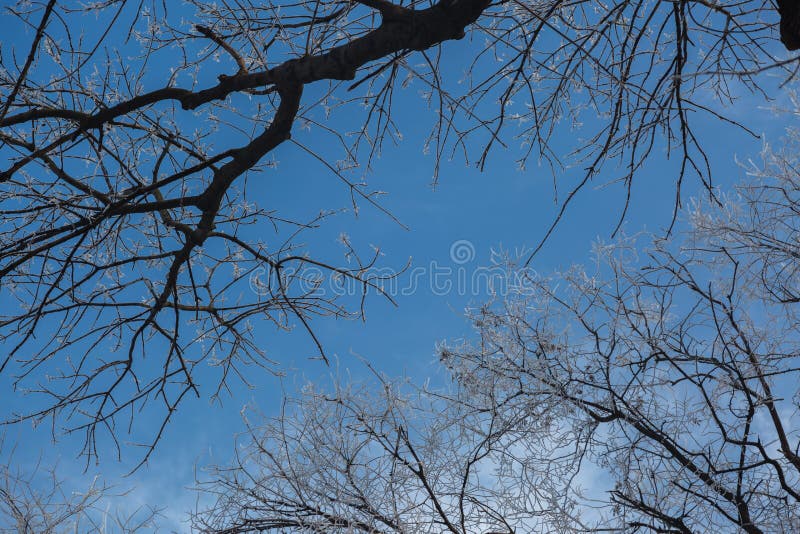 Winter Background with Natural White Frost and Ice Stock Image - Image ...