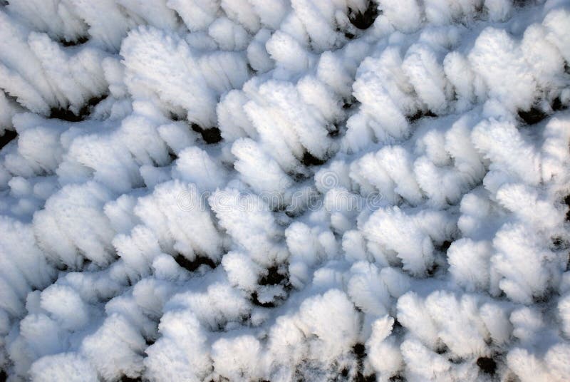 Winter Background Of Snow Scales, Close-up Picture. Image: 6392978