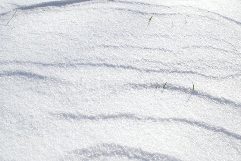 Winter Background with Snowy Ground. Wind Sculpted Patterns on Snow ...
