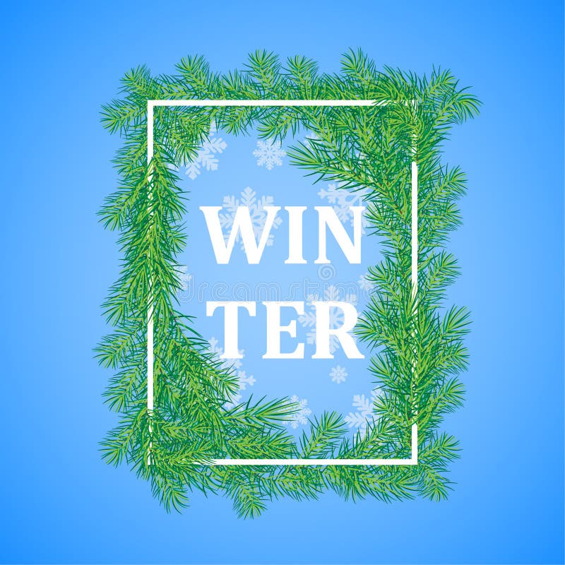 Winter Background .White Rectangular Frame, Framed by Fir Branches ...