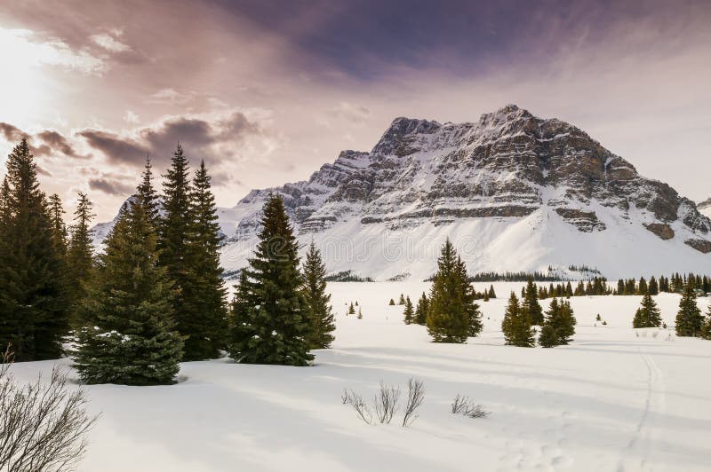 Winter in Banff National Park Stock Image - Image of snow, lake: 51475551