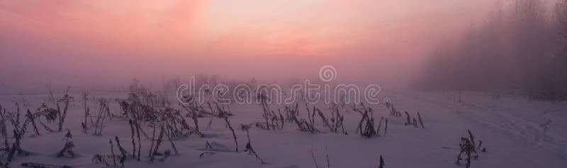 Winter banner stock image. Image of nature, evening, misty - 63972325