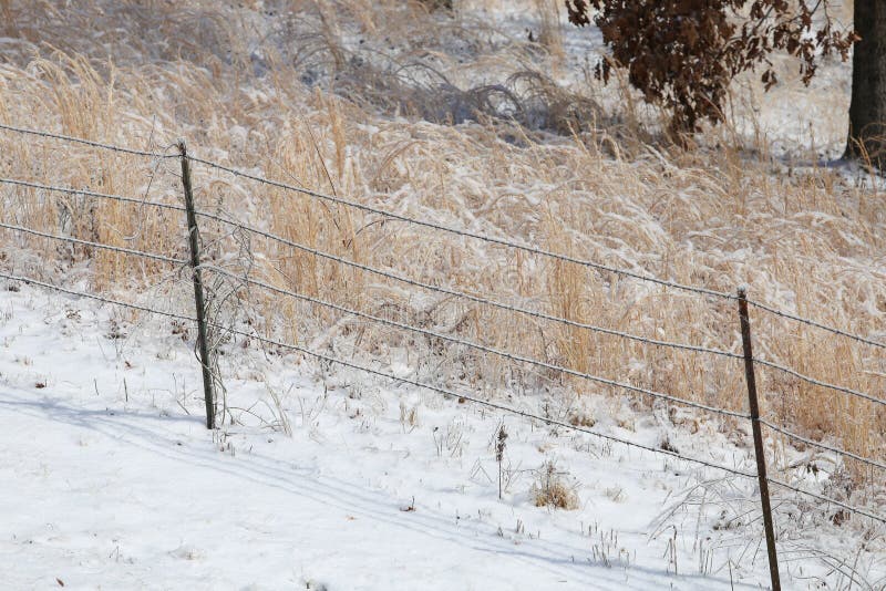 Winter Barbed Wire stock image. Image of wire, freezing - 50359463