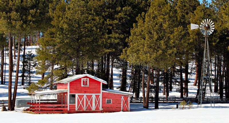 Texas Longhorns and the Windmill Stock Photo - Image of longhorns, farm ...
