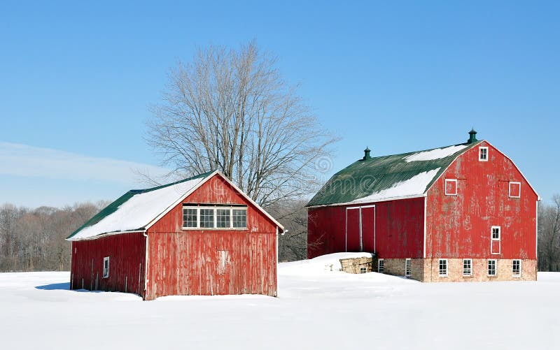 Winter barns #2 stock photo. Image of nature, frozen, lonely - 8113702