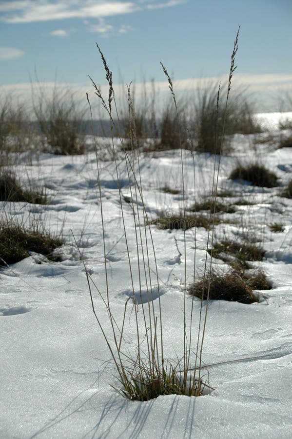 Winter Beach Walk stock image. Image of mother, walk, winter - 55153