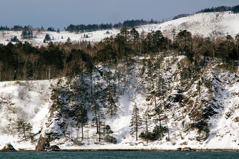Winter Beach Island in the Pacific Ocean Stock Photo - Image of ...