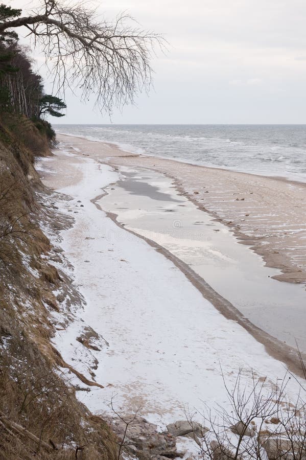Winter Beach Landscape with Coastal Forest Stock Image - Image of snow ...