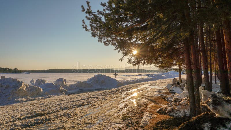 Winter Beach in the Rays of the Setting Sun Stock Photo - Image of ...