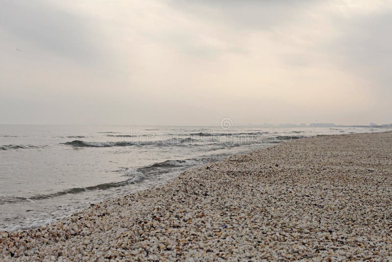 Winter Beach of Shells at Black Sea Stock Photo - Image of landscape ...