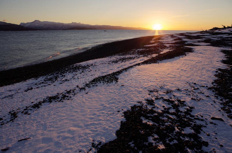 Winter Beach Scene in Southeast Alaska Stock Photo - Image of forest ...