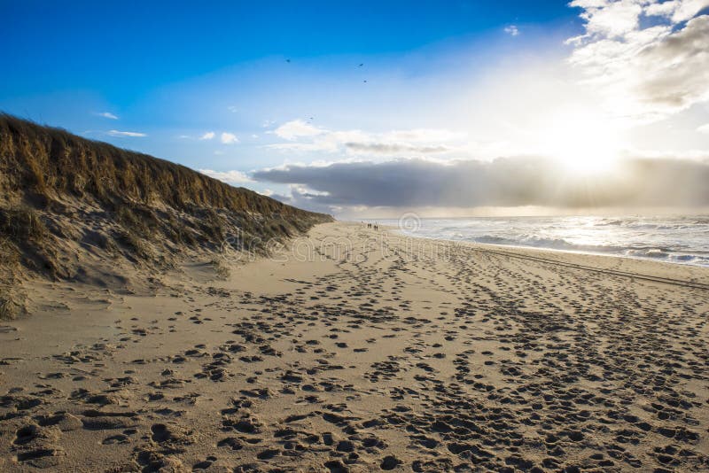 Beautiful Tranquil Dune Landscape and Long Beach at North Sea, Germany ...