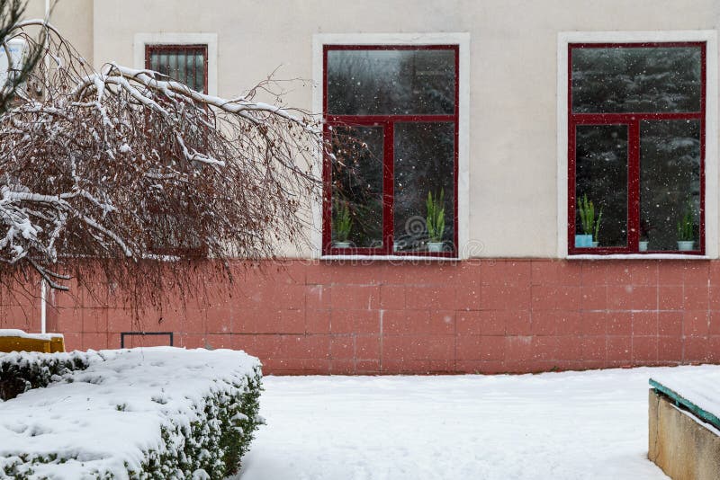 Winter Beautiful and Calm Landscape with Snow. Background with Copy ...