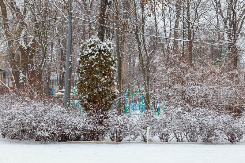 Winter Beautiful and Calm Landscape with Snow. Background with Copy ...