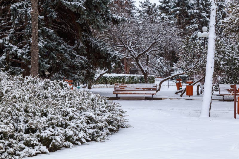 Winter Beautiful and Calm Landscape with Snow. Background with Copy ...