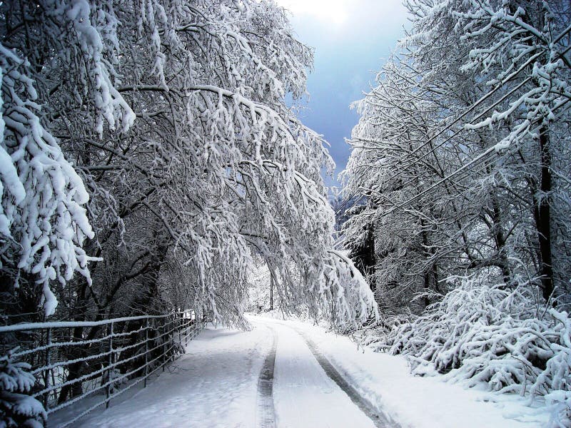 Winter stock image. Image of country, wint, season, winter - 57822659