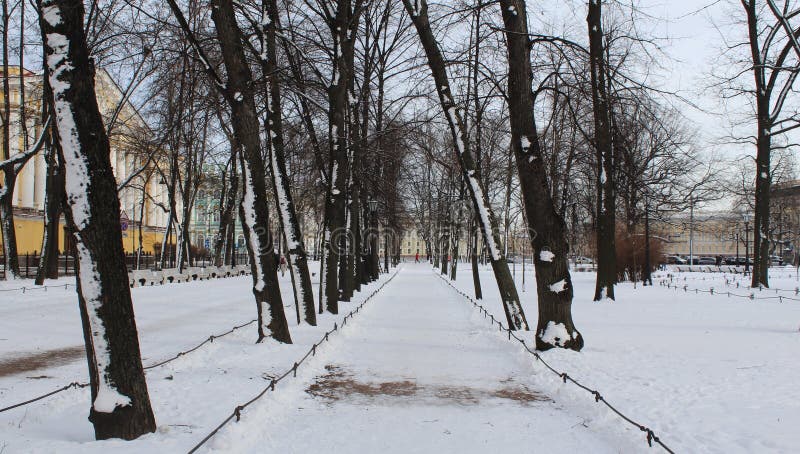 Winter Beautiful Park with Many Big Trees Benches and Path Stock Image ...