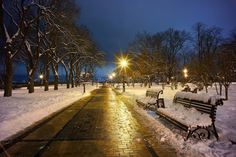 Winter Beautiful Park with Many Big Trees Benches Stock Image - Image ...