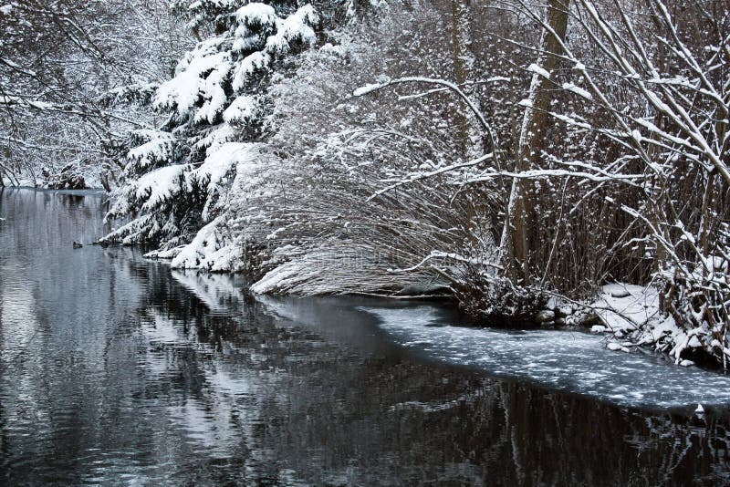 Winter beauty stock image. Image of branches, mirror - 12394345