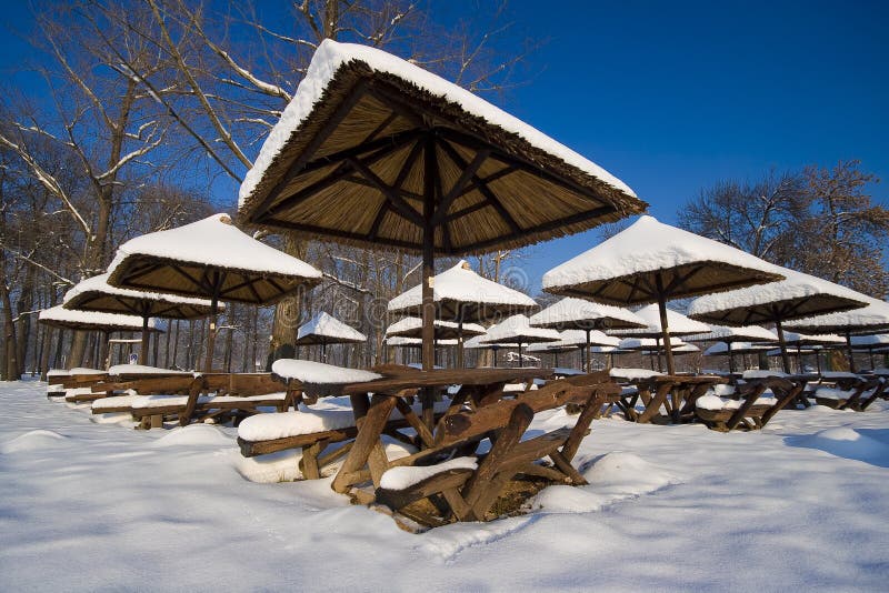 Winter beauty stock photo. Image of chill, magnificent - 12846918