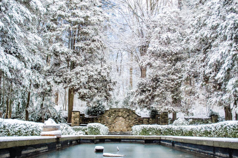 Winter Beauty stock photo. Image of heavyladen, water - 97773458