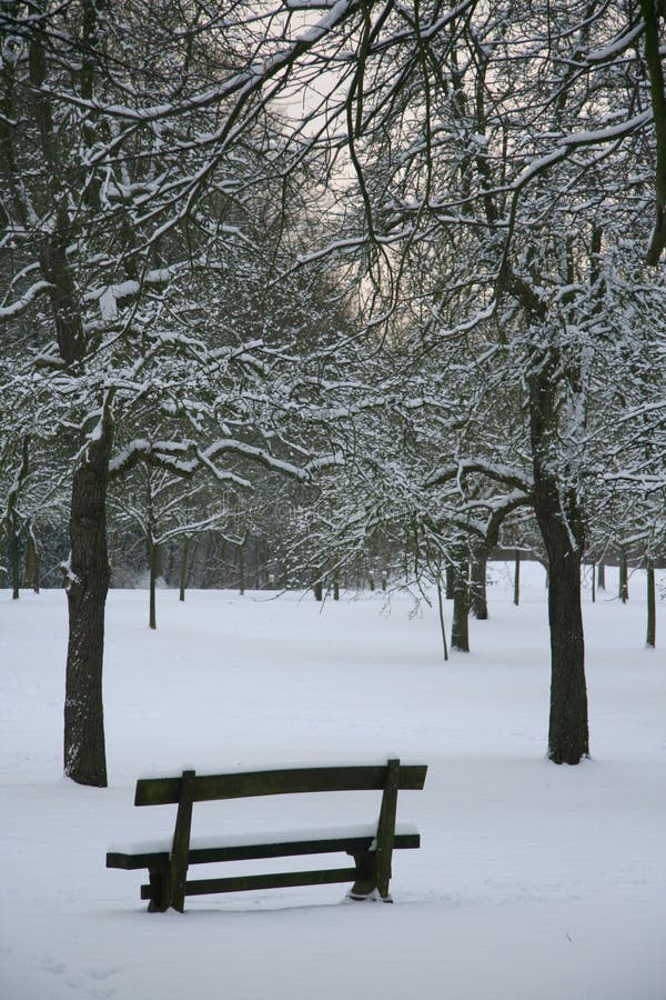 Beautiful, Peaceful Scene of a Park during a Winter Stock Photo - Image ...