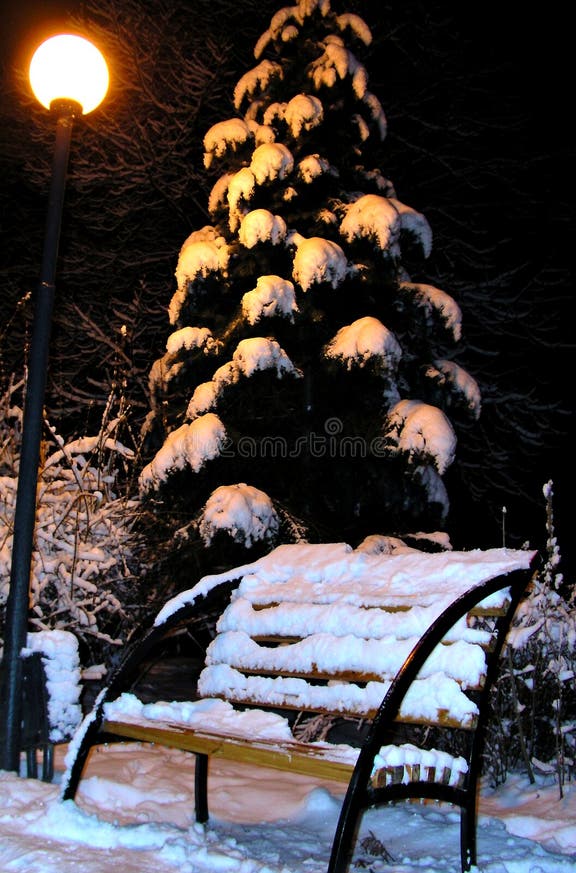 Winter bench stock photo. Image of light, city, bush, lamp - 143634
