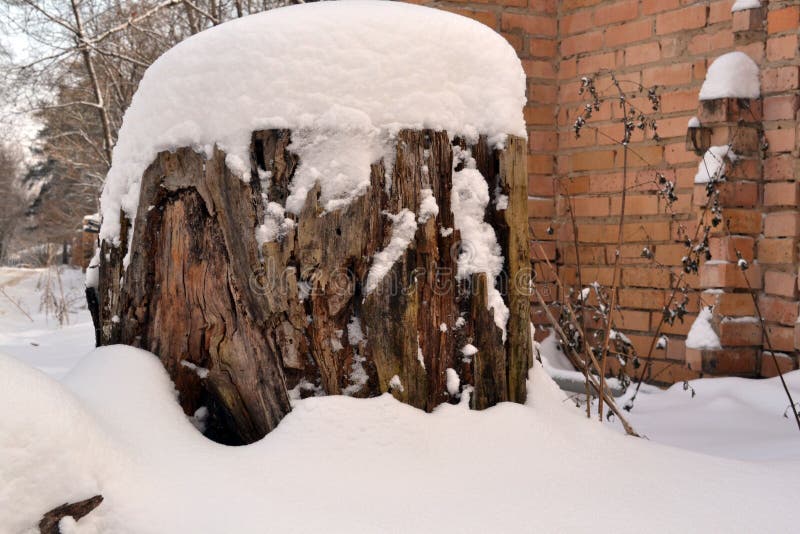 Winter Big Stump Along Brick Wall Stock Image - Image of forest, grass ...