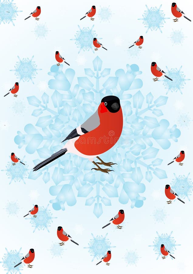 Winter Bird Clothing Cold Illustration Cartoon Character Stock ...
